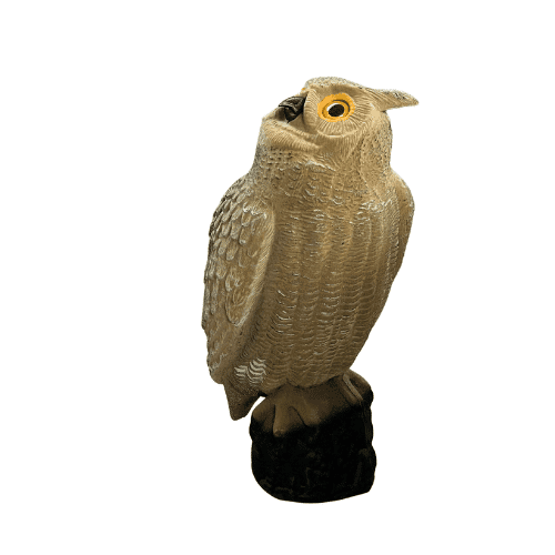 Ugle m/flock